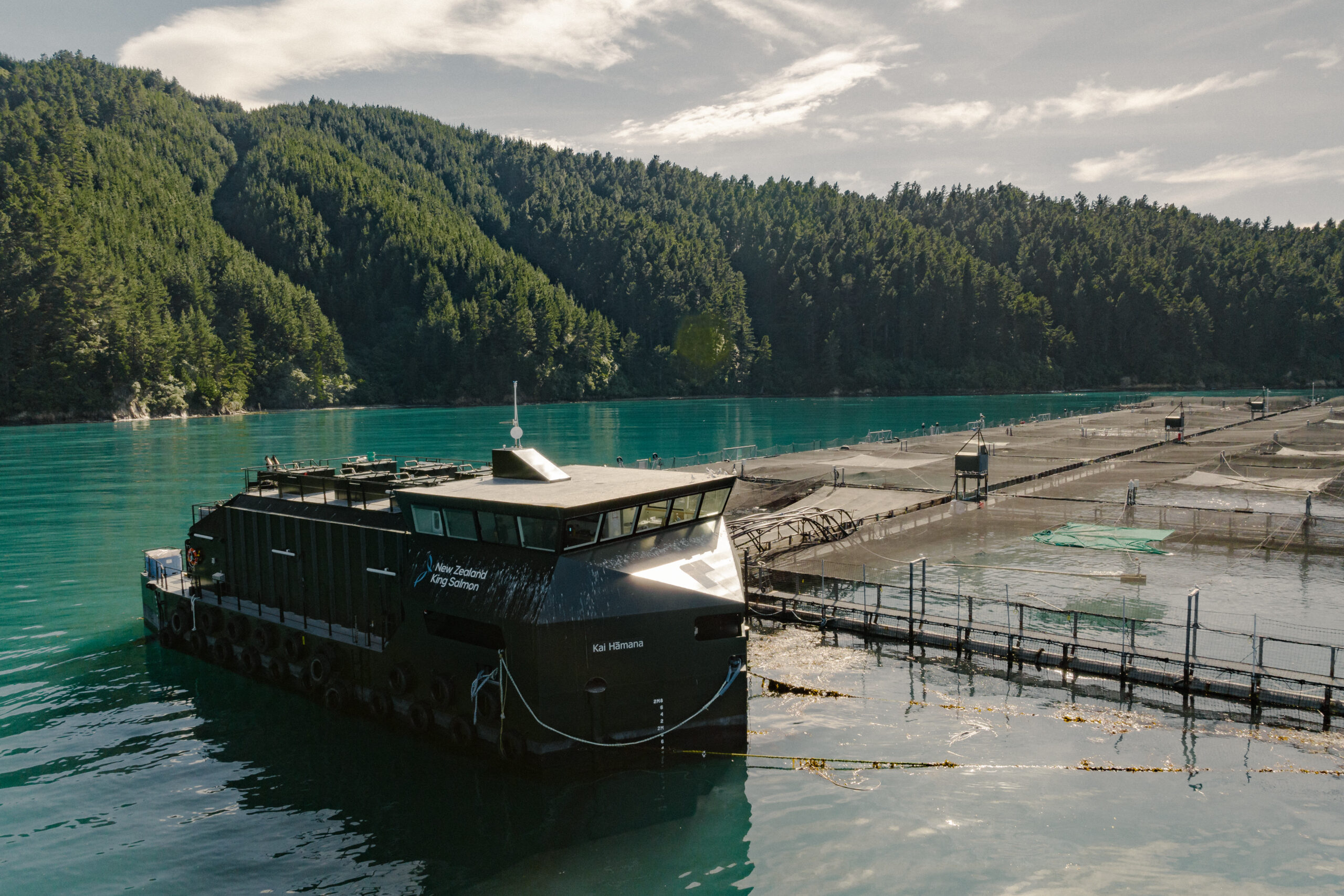 Our Clients | Southern Ocean Solutions | Diverse Client Portfolio